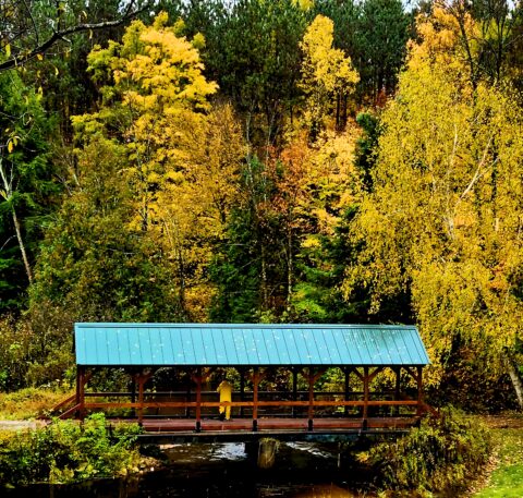 Course Details - Hidden River Golf & Casting Club